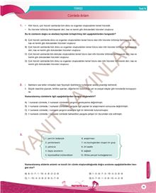 YANIT YAYINLARI - 7. SINIF - 7. Sınıf Yaz Tatil Kampı