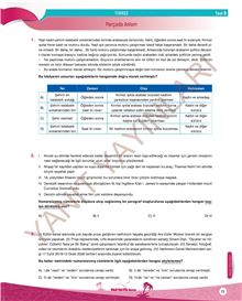 YANIT YAYINLARI - 7. SINIF - 7. Sınıf Yaz Tatil Kampı